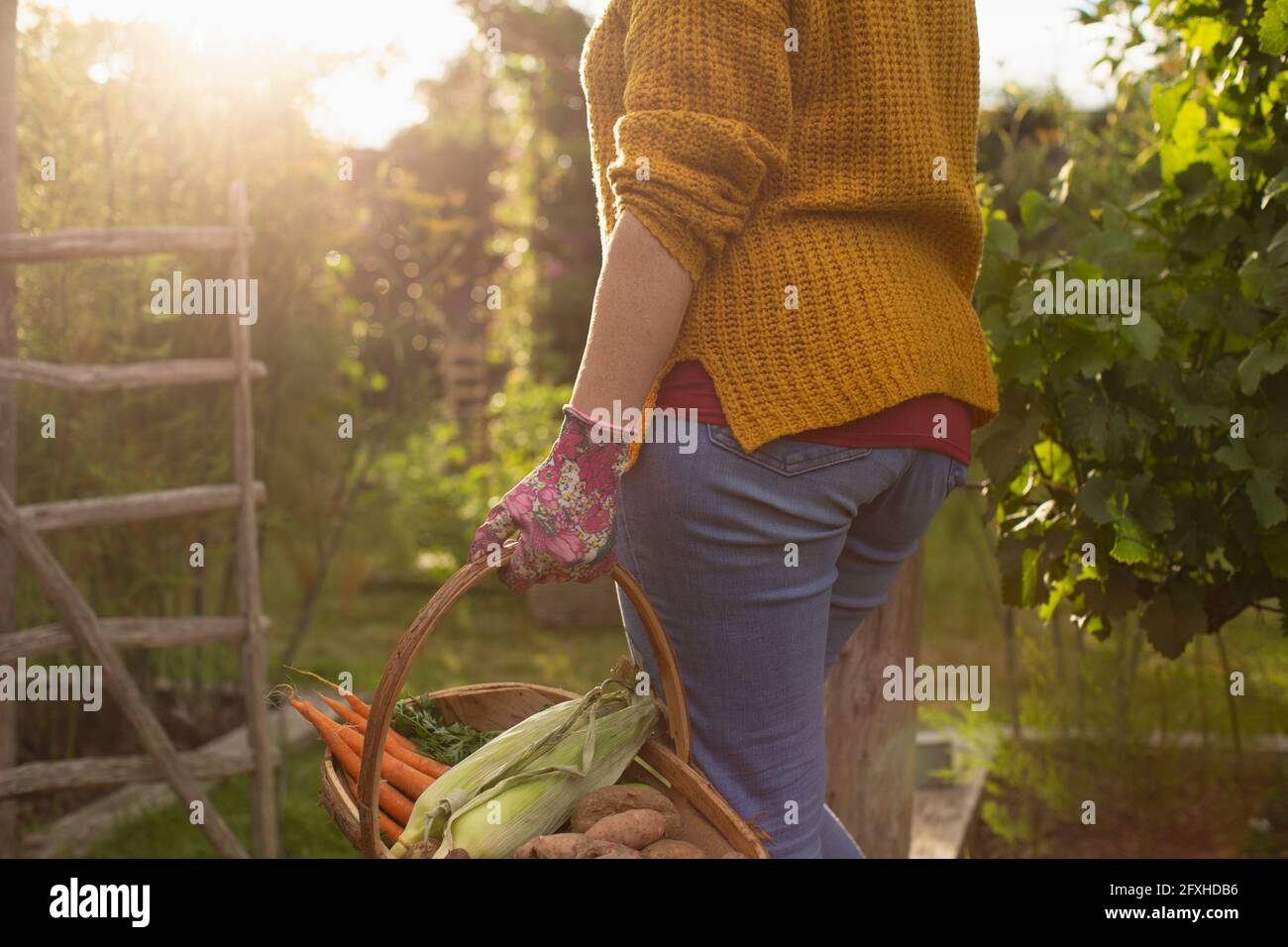 Woman standing sunny garden hi-res stock photography and images - Alamy