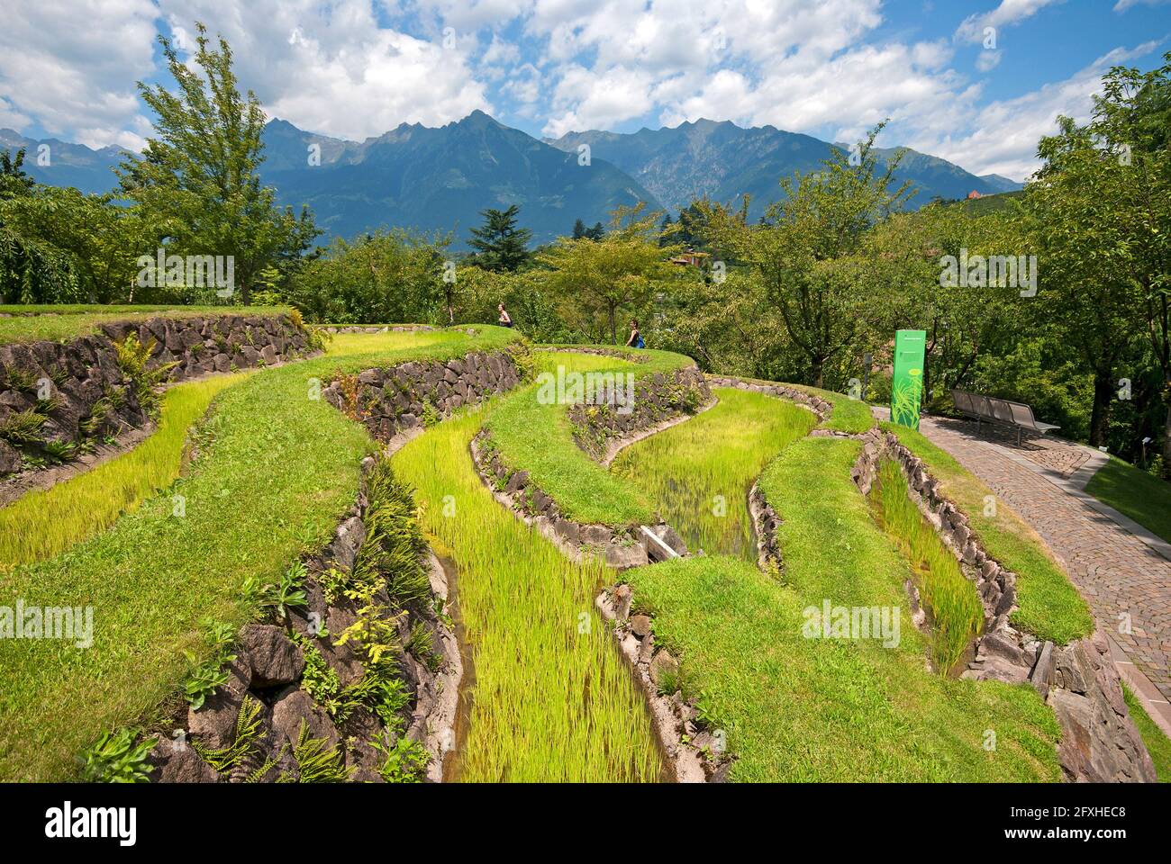 Trauttmansdorff gardens hi-res stock photography and images - Alamy