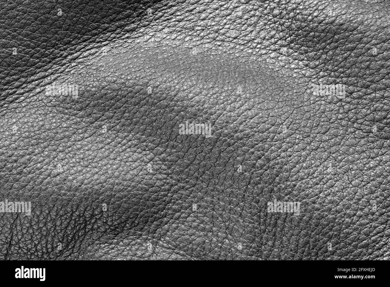 Dark leather texture. Detail of a deer napa leather jacket Stock Photo ...