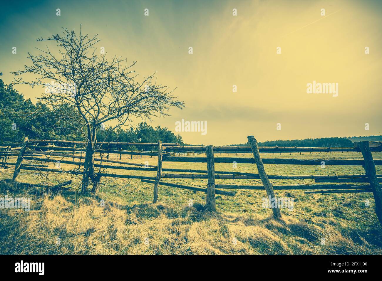 Wooden fence farmland grassland sky hi-res stock photography and images ...