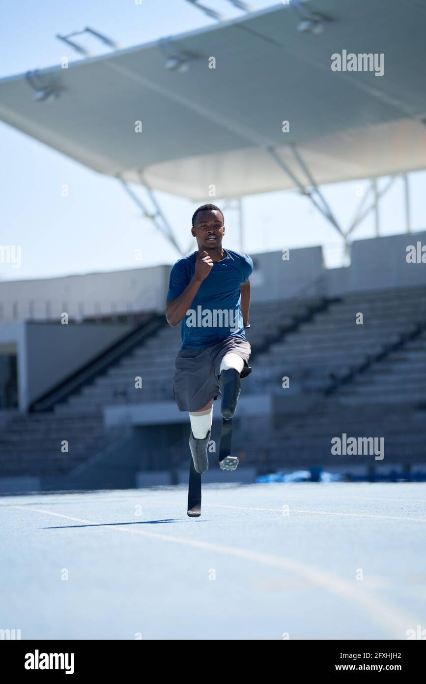 Young male amputee athlete running on sunny blue sports track Stock ...