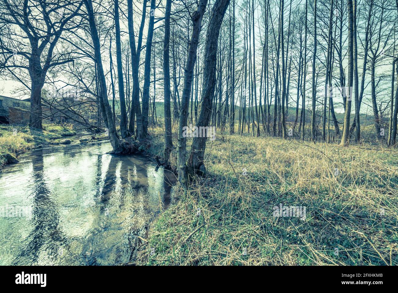 Early spring landscape with river in the forest and rural village ...