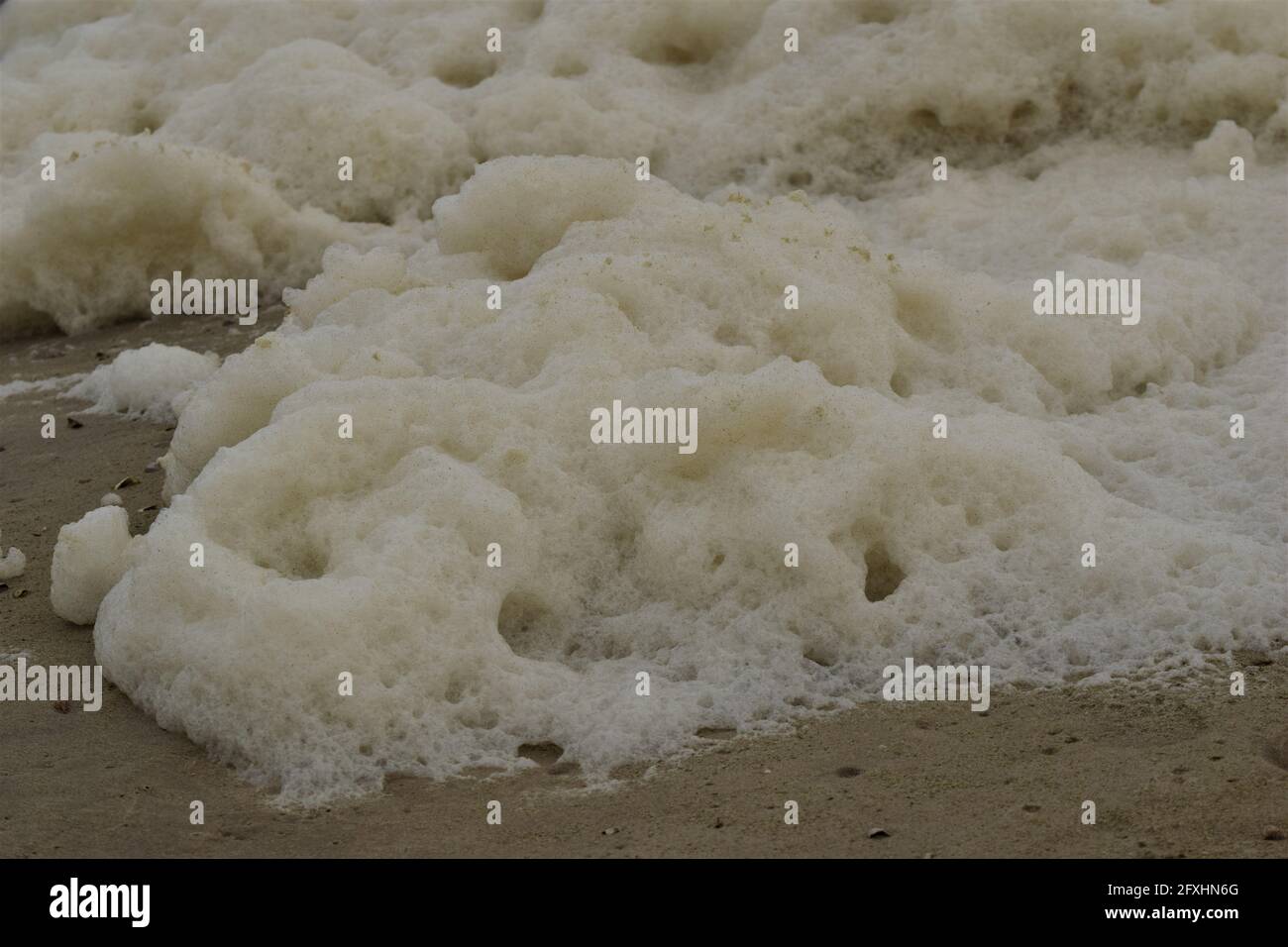 Sea foam on the beach as a close up Stock Photo - Alamy
