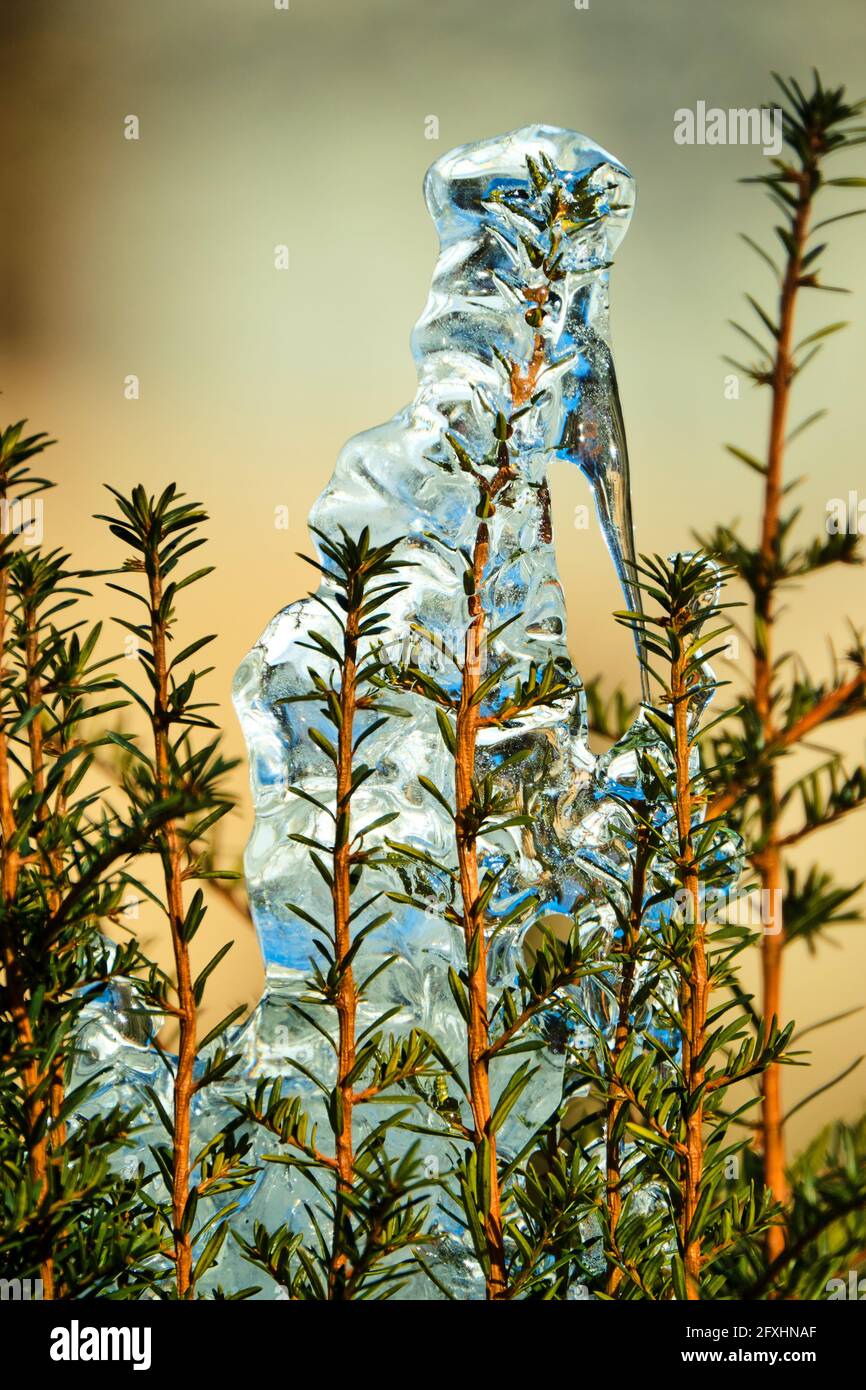 Nature's ice sculpture Stock Photo - Alamy