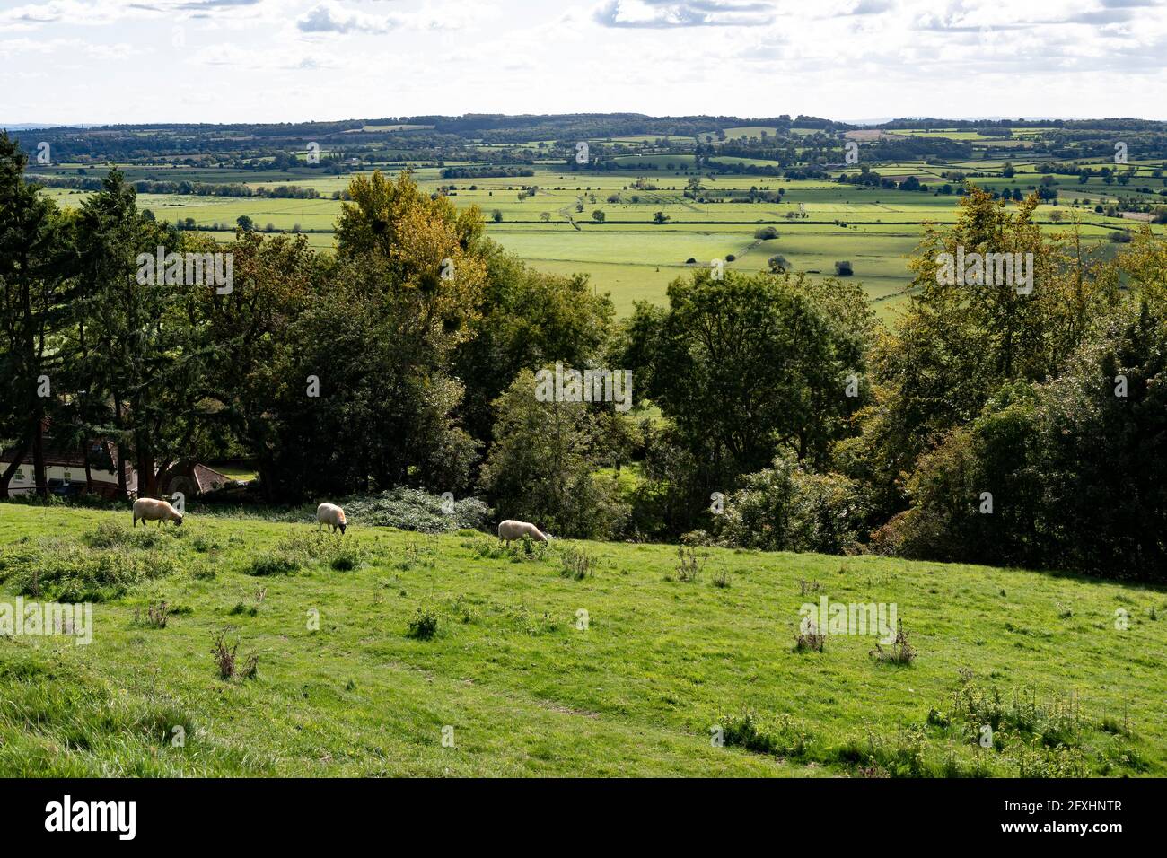 Lush green scene in rural English countryside Stock Photo - Alamy