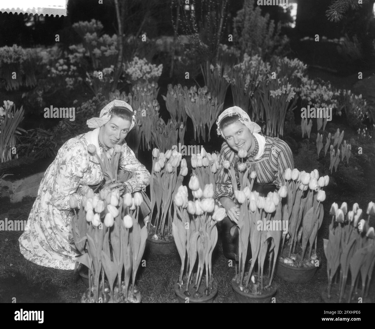 Frisian costume hi-res stock photography and images - Alamy