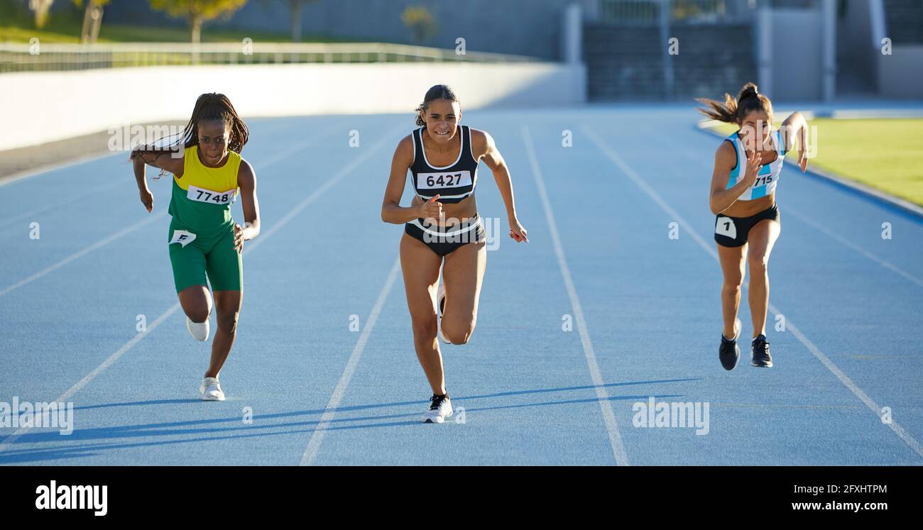 Female track and field athletes competing on sunny track Stock Photo ...