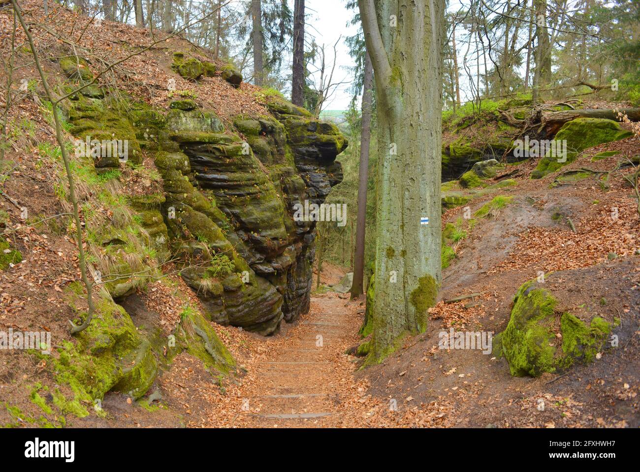 Swedish holes hi-res stock photography and images - Alamy