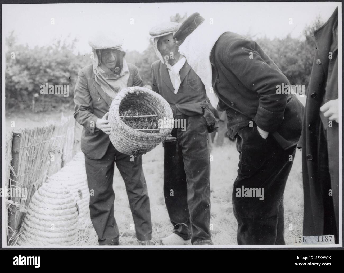 Photo number 156 1187 hi-res stock photography and images - Alamy