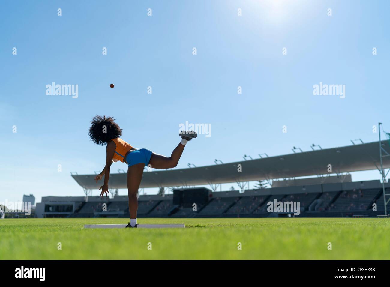 Female track and field athlete throwing shot put in sunny stadium Stock ...