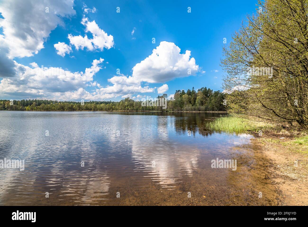 Wild nature landscape over lake with blue sky in sunny day, early ...