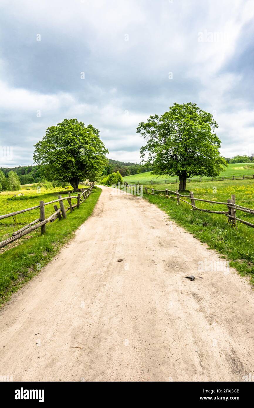 Rural road on farm with green field, spring landscape Stock Photo - Alamy