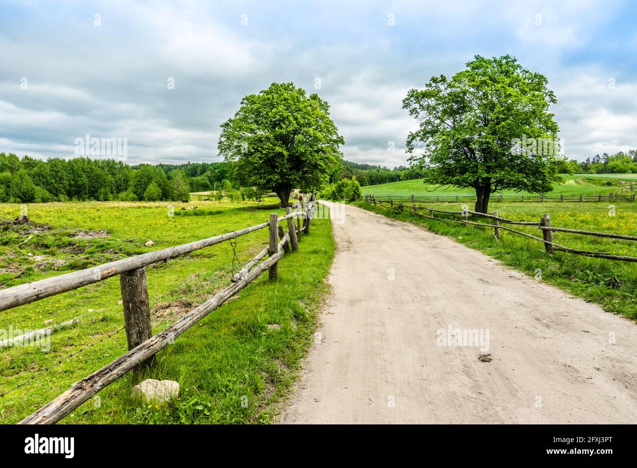 Rural road on farm with green field, spring landscape Stock Photo - Alamy