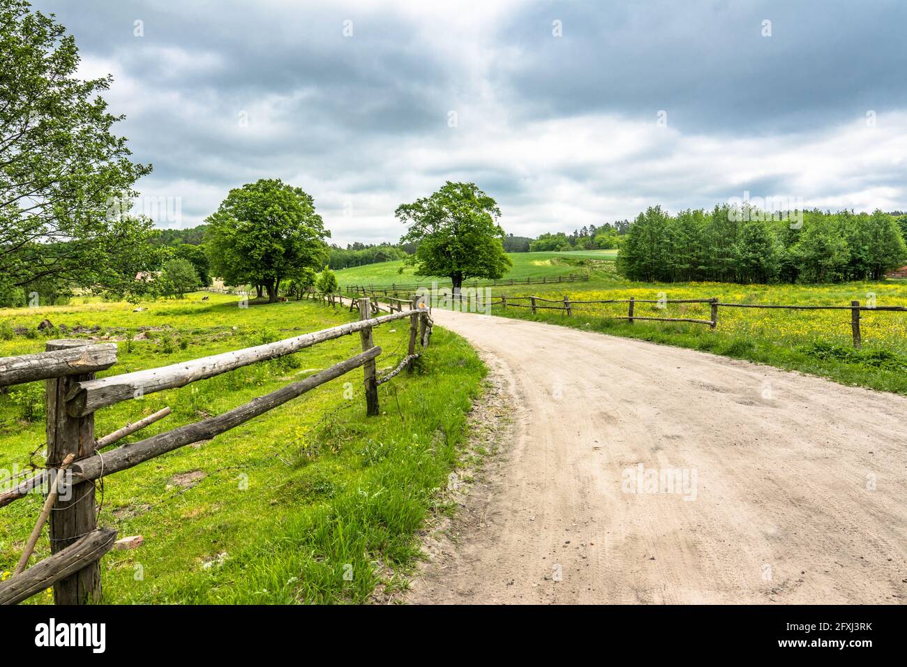 Rural road on farm with green field, spring landscape Stock Photo - Alamy