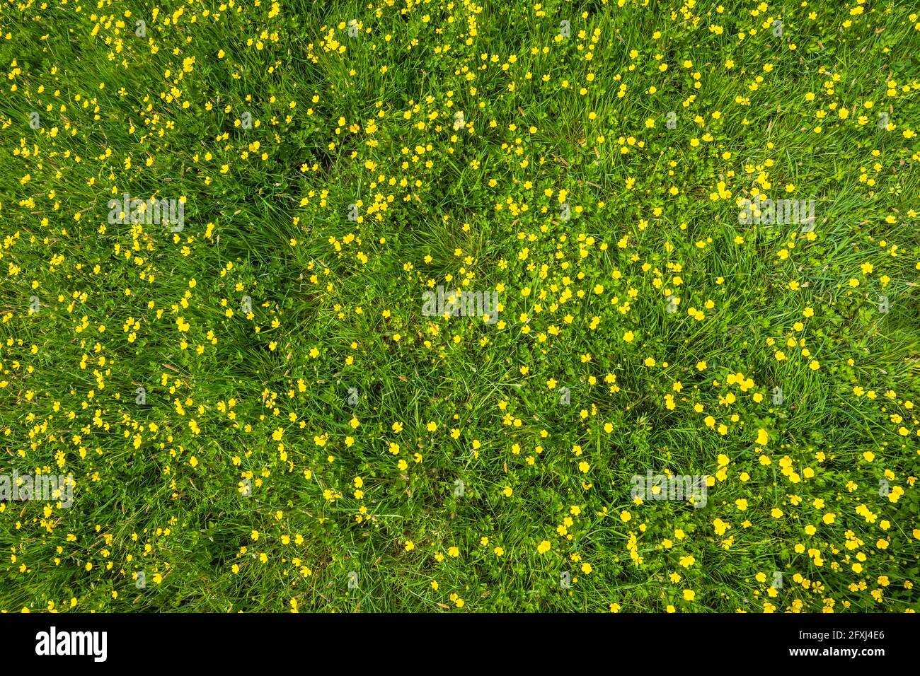 Overhead grass texture hi-res stock photography and images - Alamy
