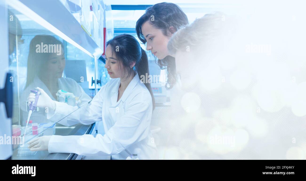 Composition of female lab technicians at work, with white bokeh copy space to right Stock Photo ...