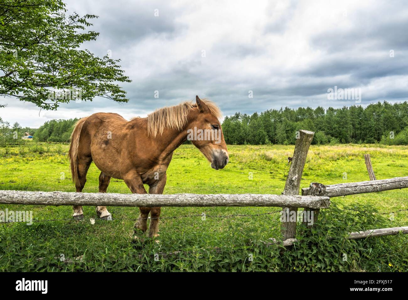 Ranch countryside hi-res stock photography and images - Alamy