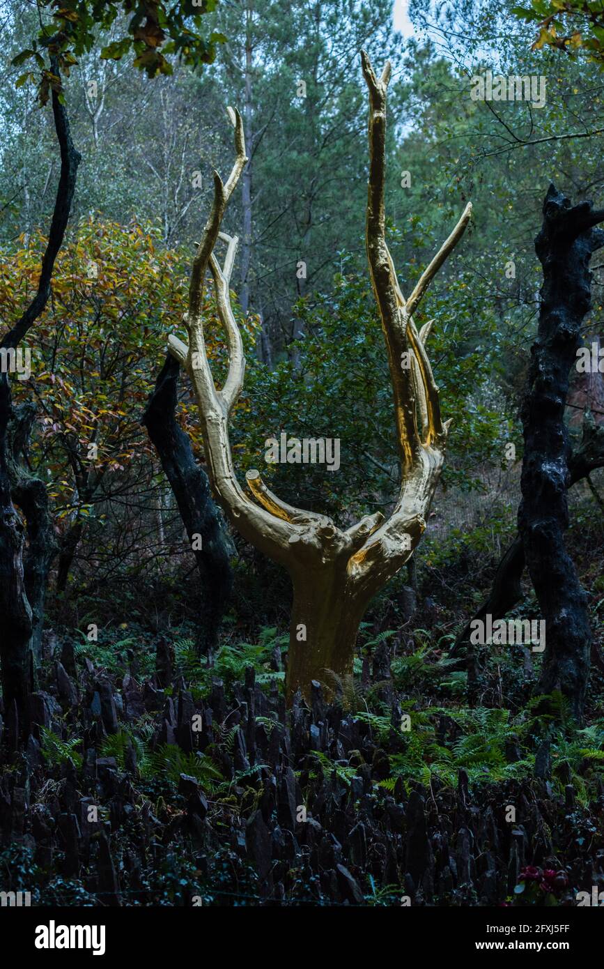 FRANCE, BRITTANY, MORBIHAN (56) PAIMPONT, VAL SANS RETOUR, THE GOLDEN ...