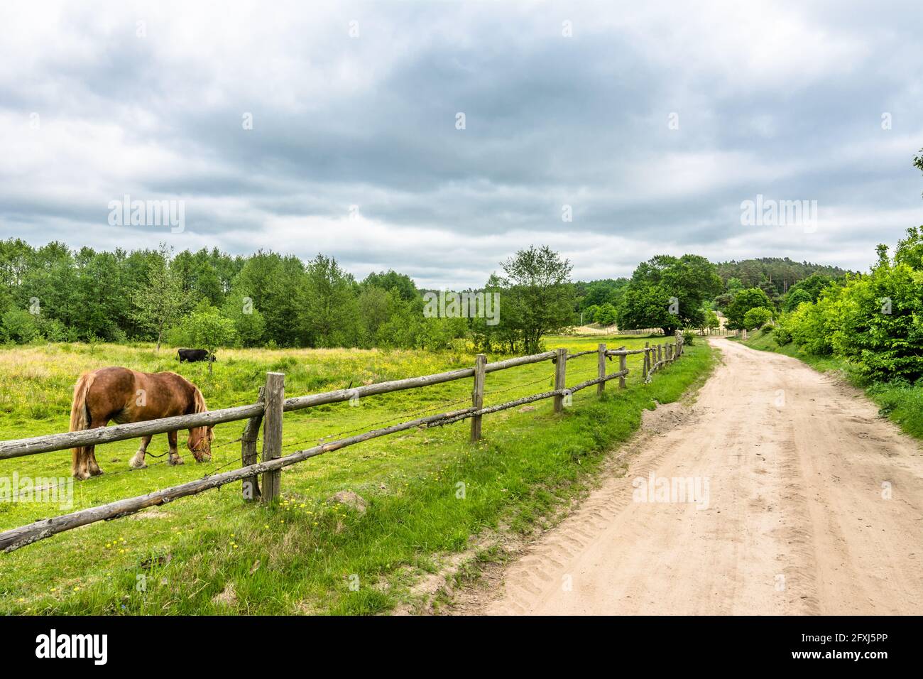 Polish rural road and horse farm in the summer, landscape Stock Photo ...