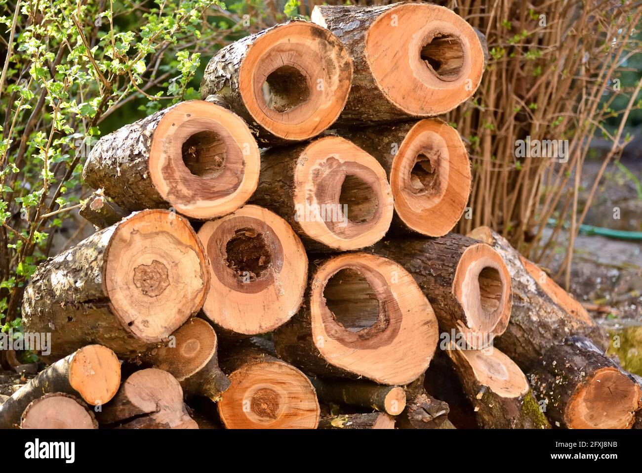 Sawn garden trees. Sawing tree trunks during seasonal work in the ...