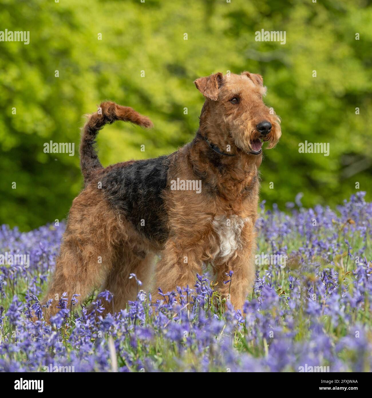 Full body front side hi-res stock photography and images - Alamy