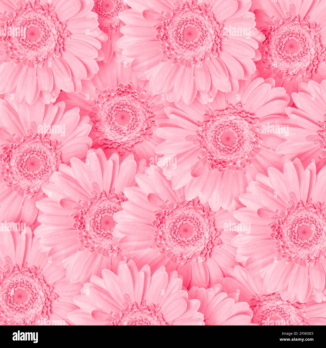 Pink flowers pattern hi-res stock photography and images - Alamy