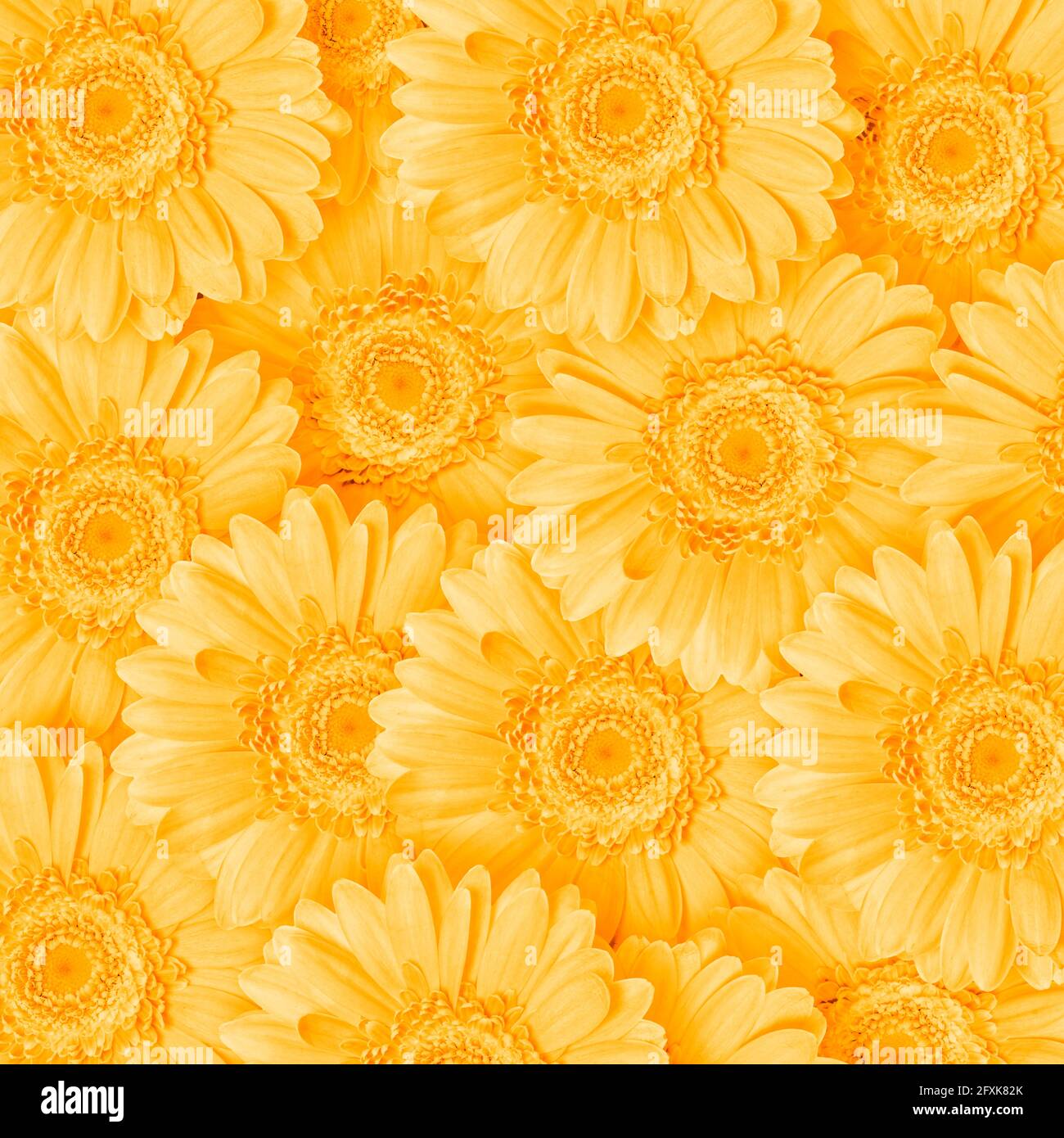 Yellow Flowers Pattern Texture Background Stock Photo - Alamy