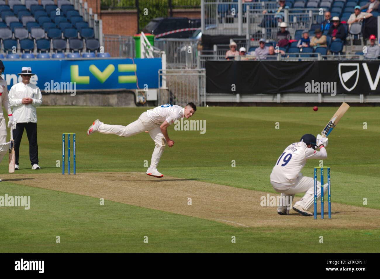 Michael kyle pepper hi-res stock photography and images - Alamy