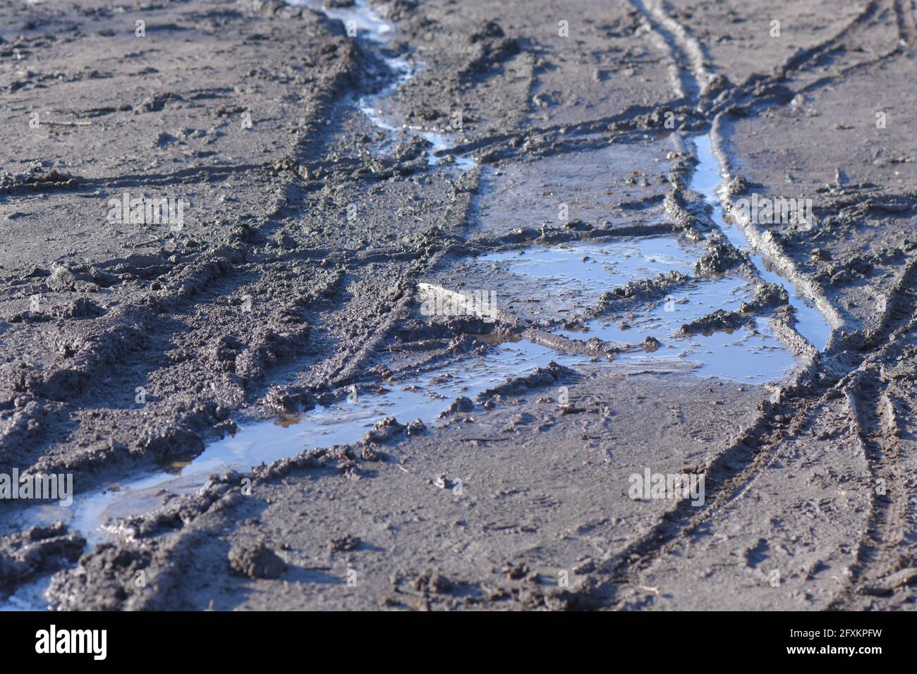 Mud on the road in a rural area Stock Photo - Alamy