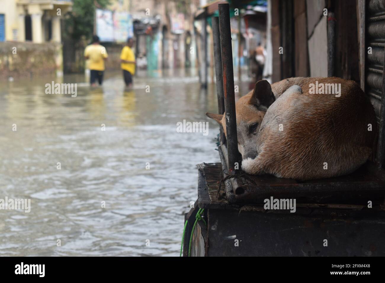 Cyclone yaas shelter hi-res stock photography and images - Alamy