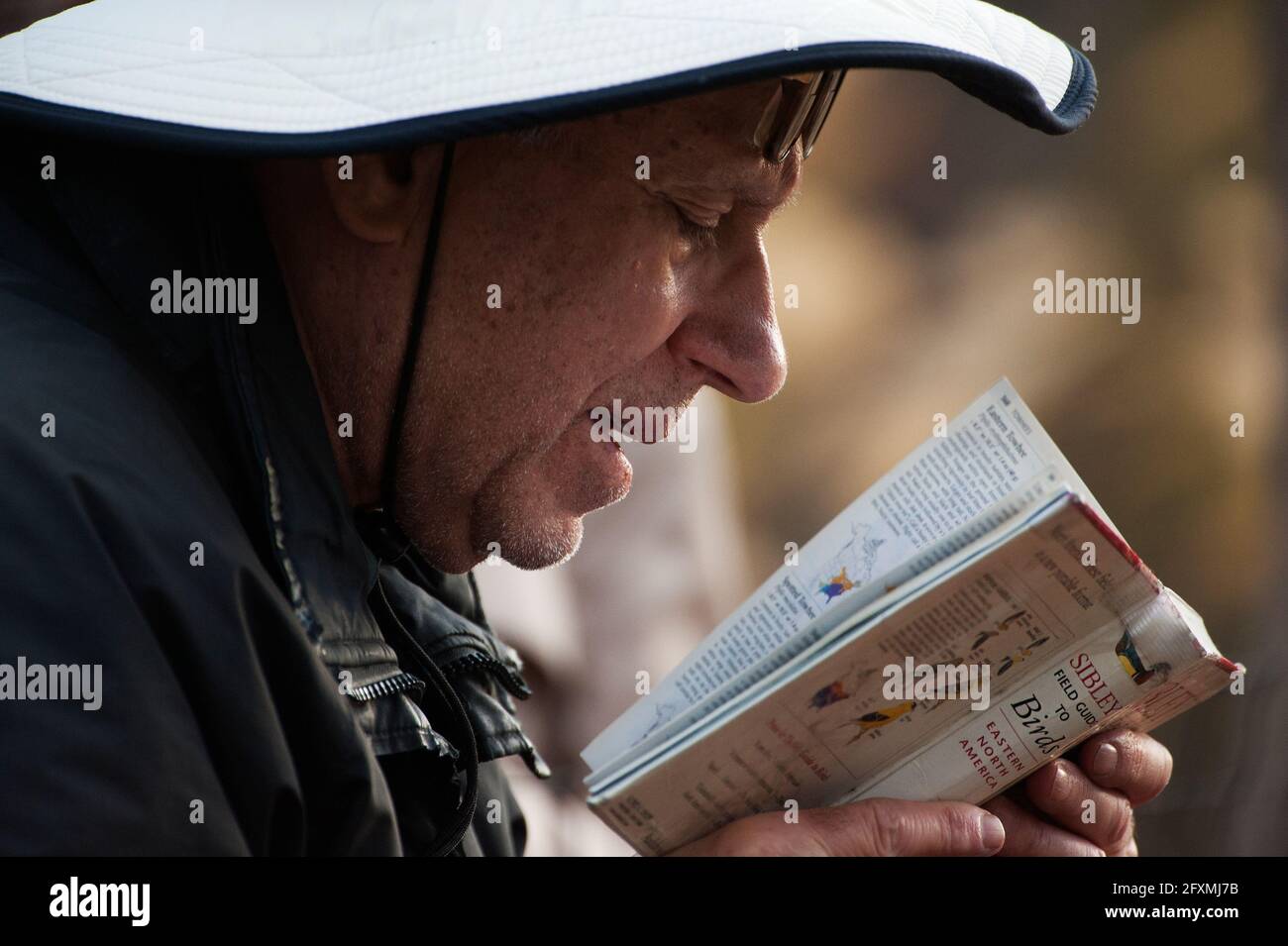 Senior citizen bird watchers hi-res stock photography and images - Alamy