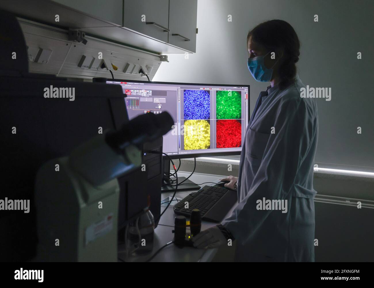 Student science research display hi-res stock photography and images ...