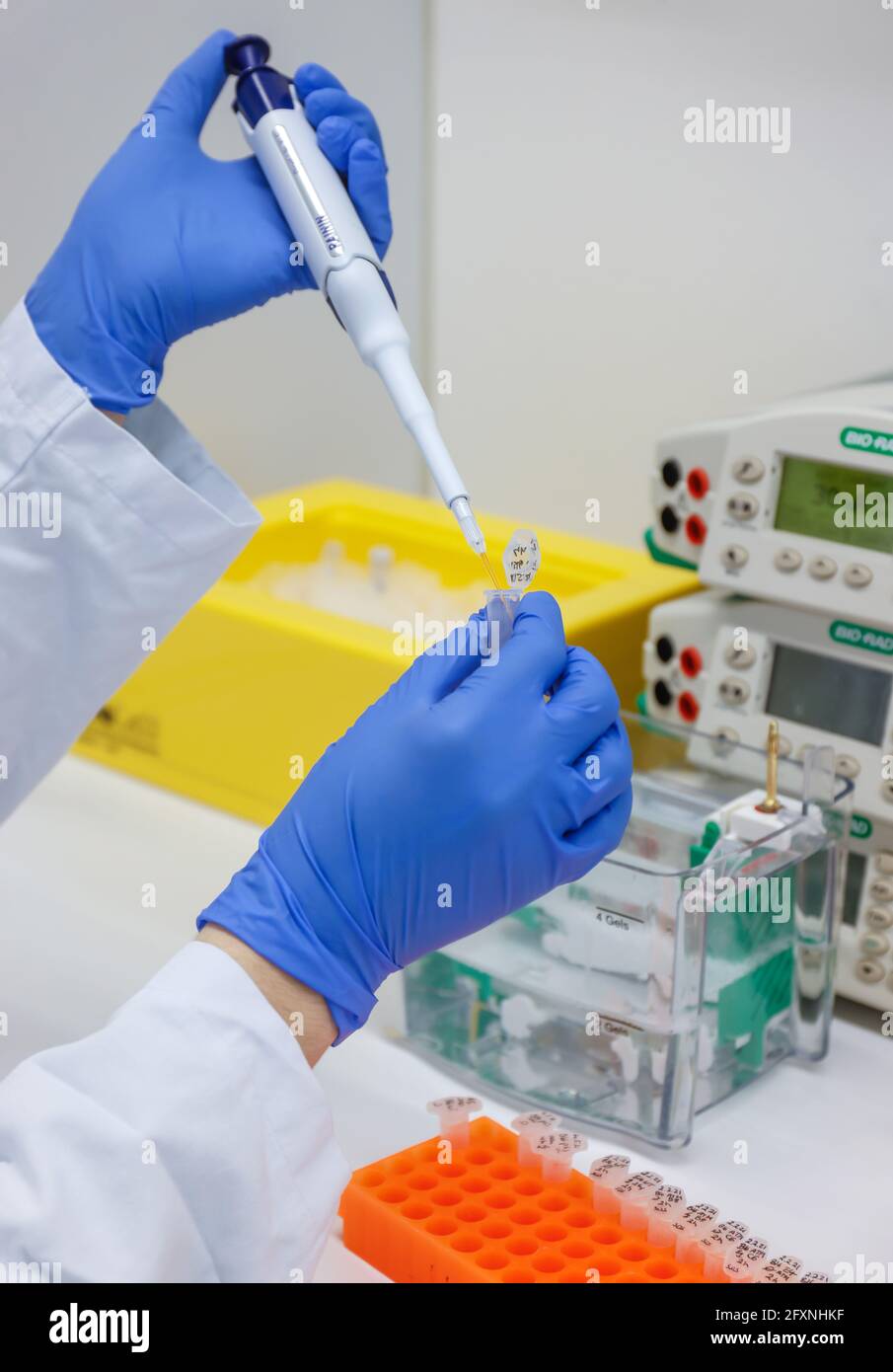 Genetic engineering and pipette hi-res stock photography and images - Alamy