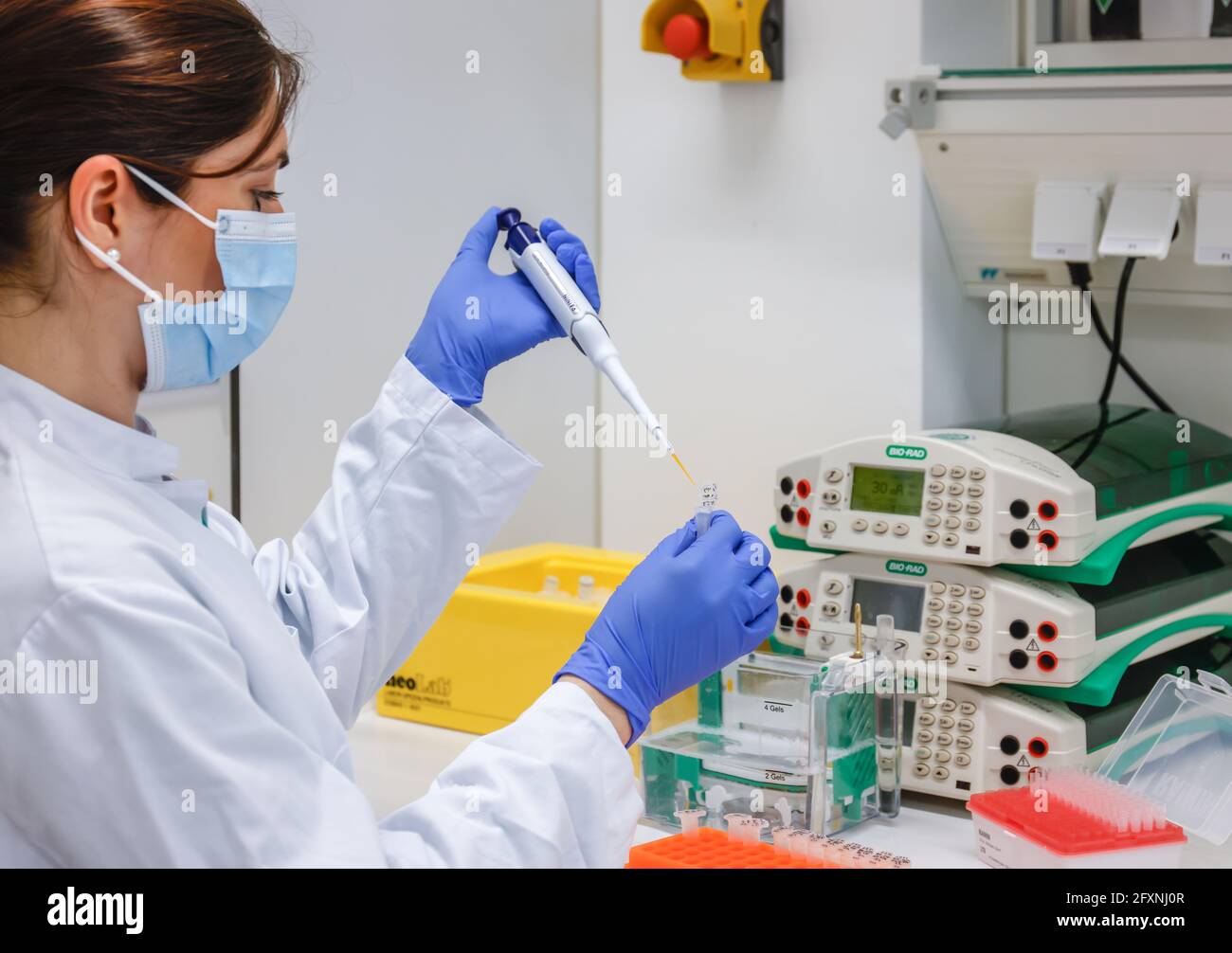 Genetic engineering and pipette hi-res stock photography and images - Alamy