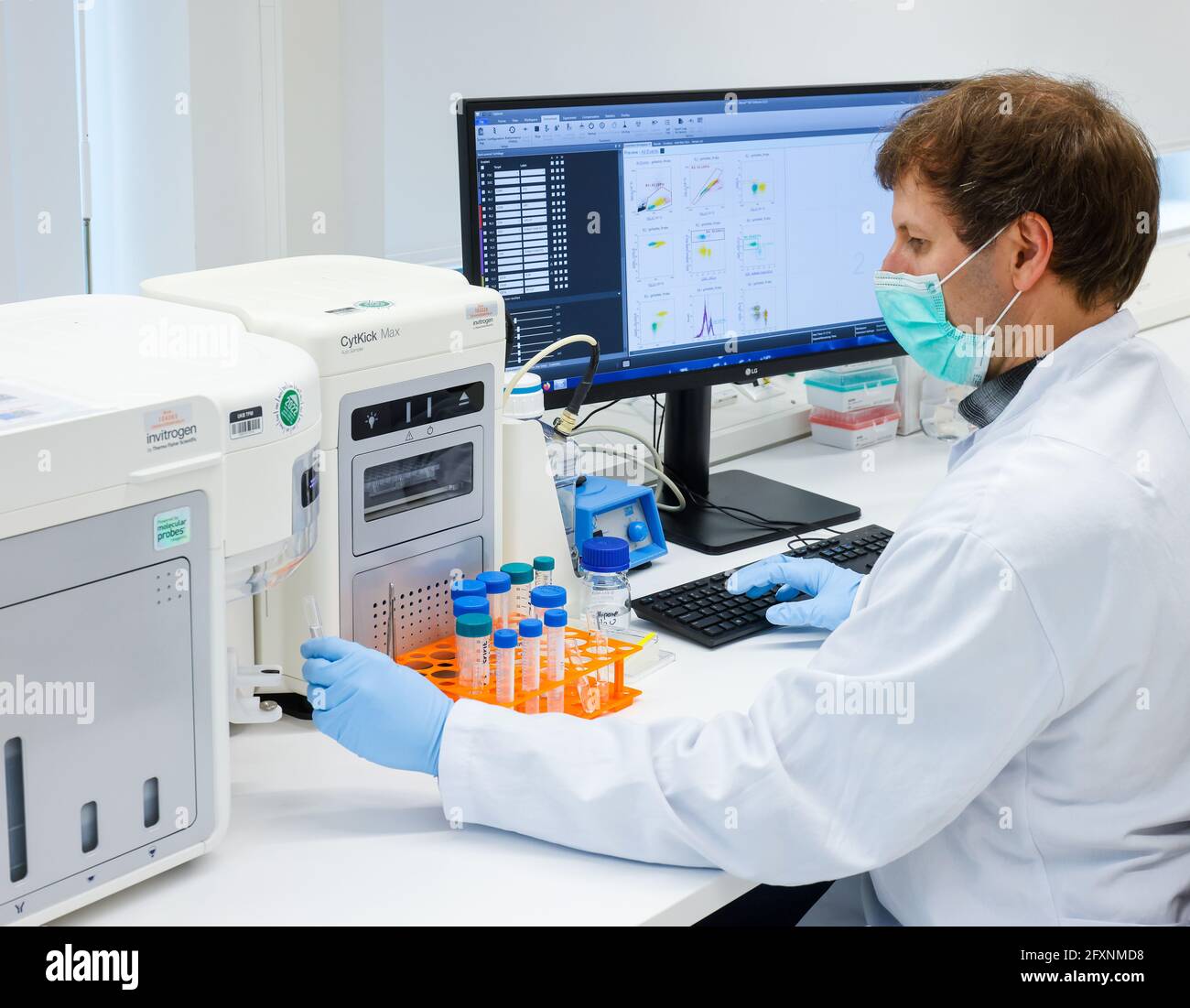 Immunobiology hi-res stock photography and images - Alamy