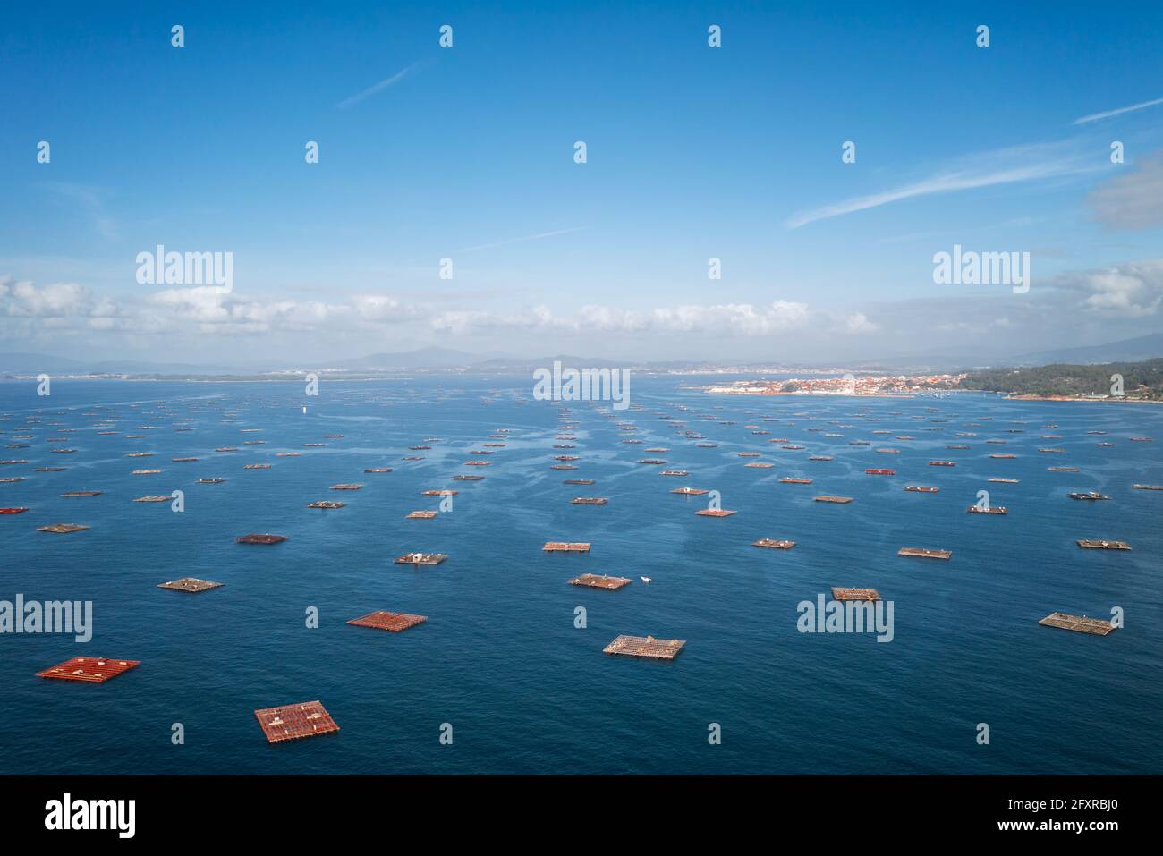 Fish farm, drone panorama view, in the Atlantic Ocean, Arousa Island ...