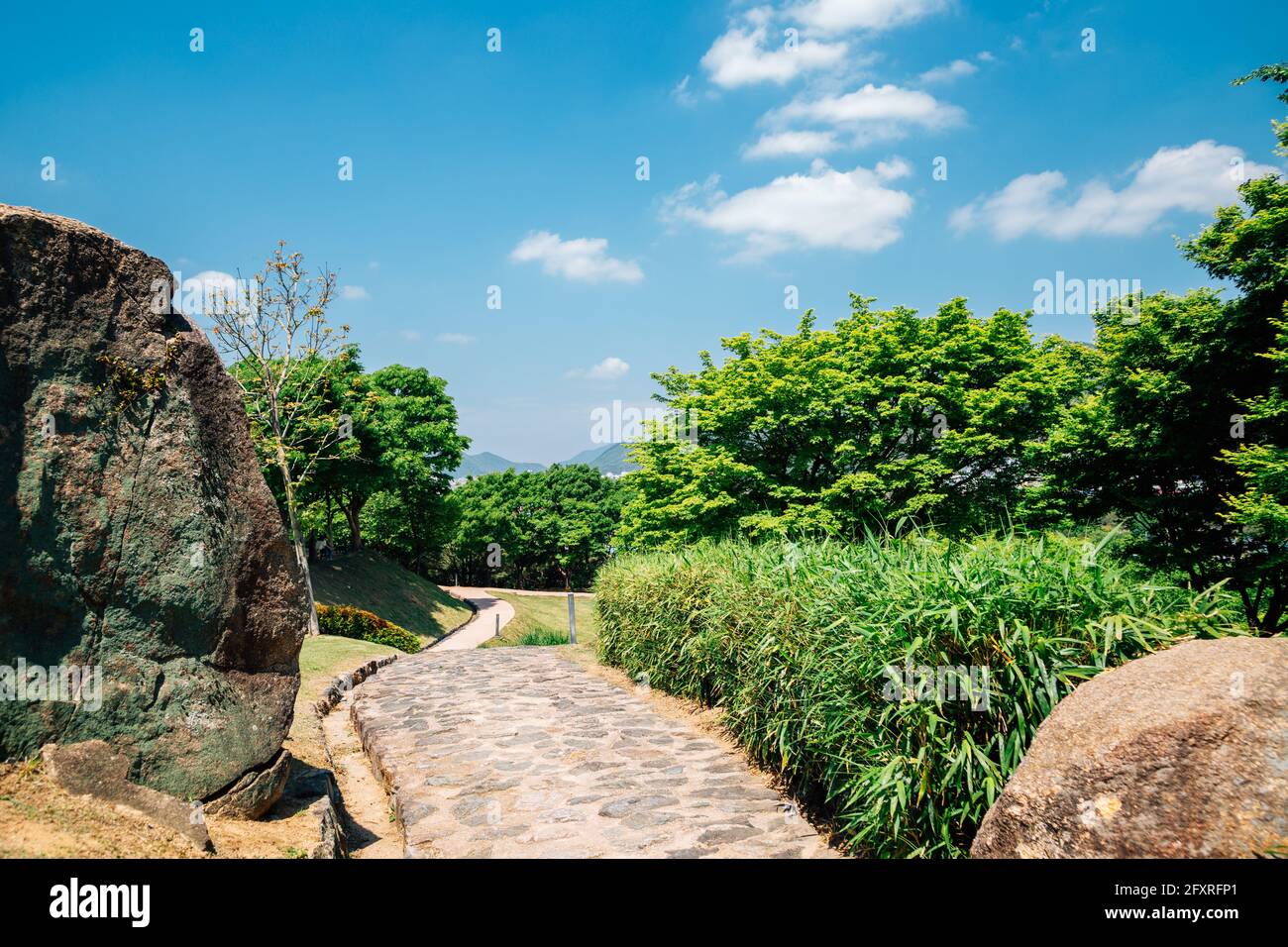 Spring of Bonghwangdae Park in Gimhae, Korea Stock Photo - Alamy