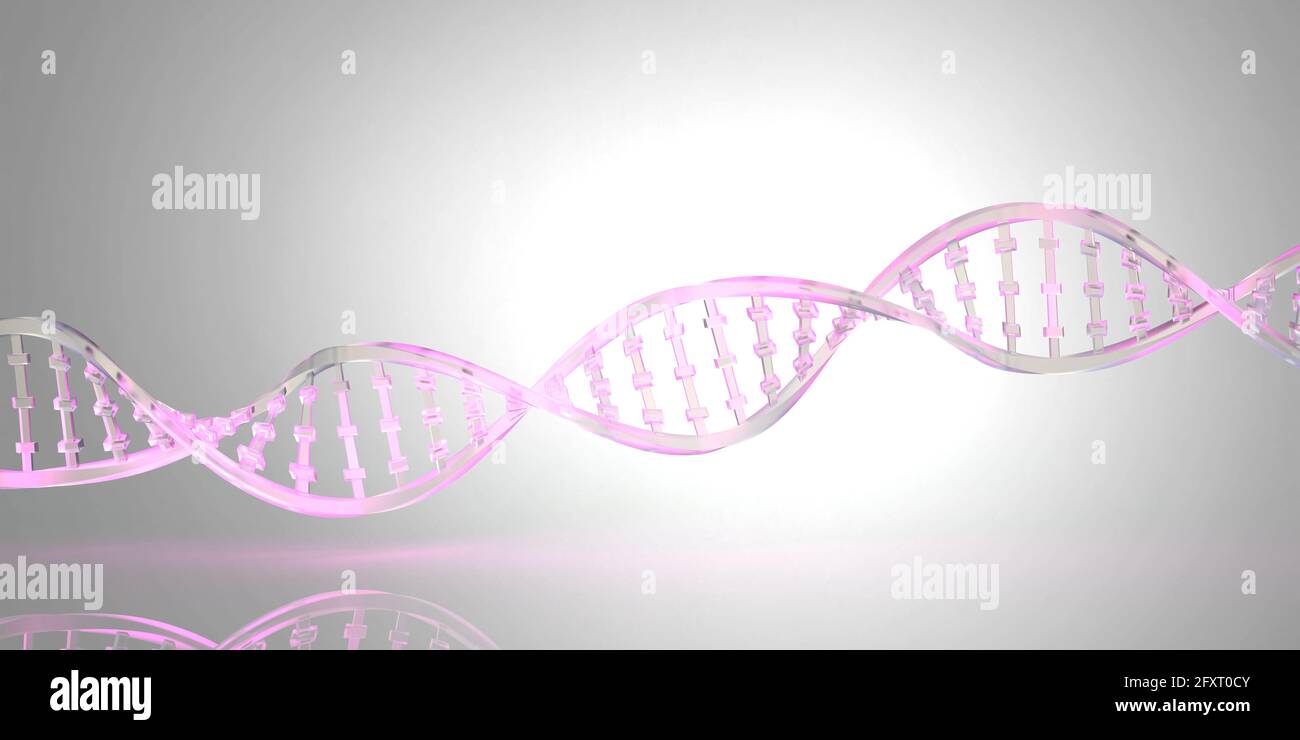 DNA pink string, chain of chromosome banner. Science technology ...