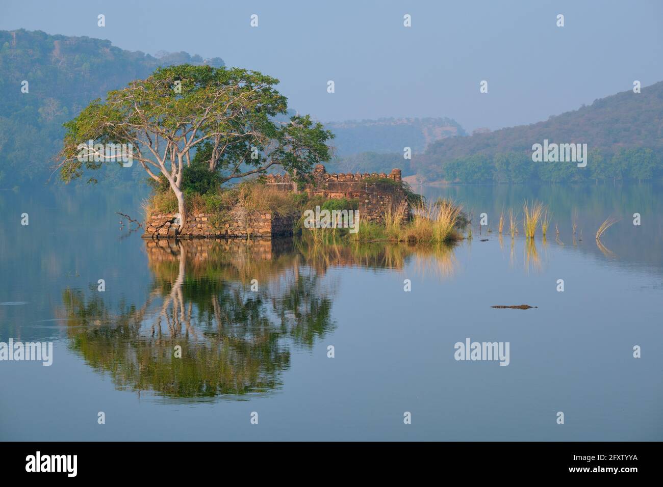 Padam talao hi-res stock photography and images - Alamy