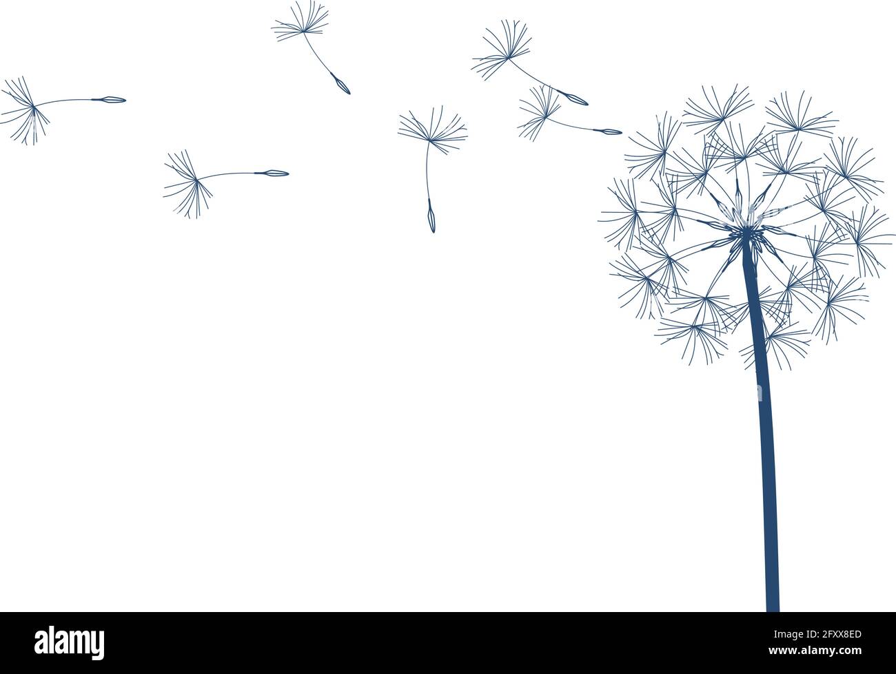 Dandelion vector. Make a Wish. Simple minimalist style Stock Vector ...