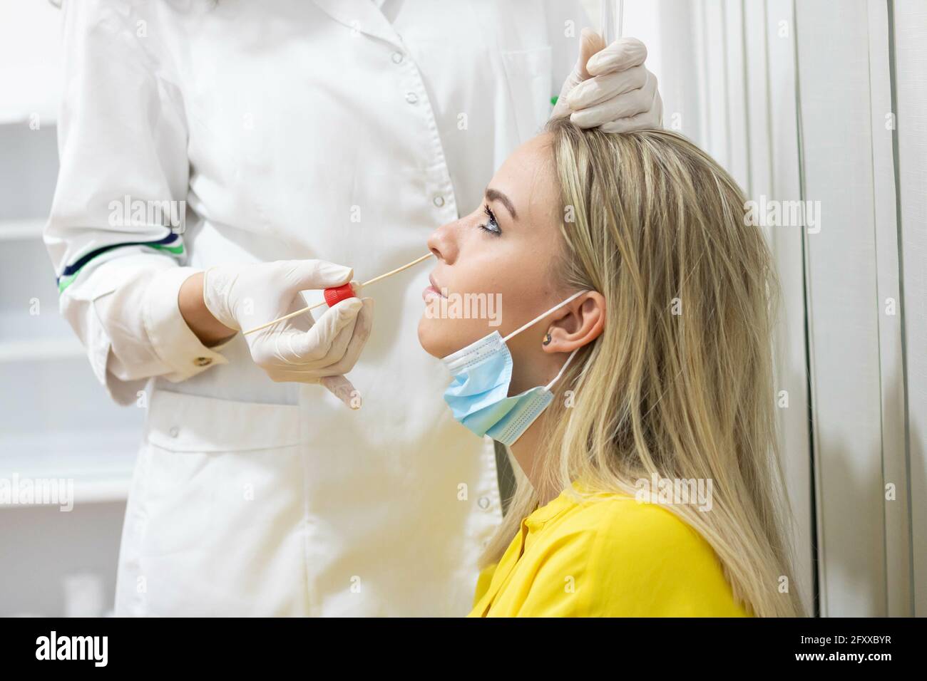 Closeup shot of a doctor taking a nasal swab from a patient Stock Photo ...