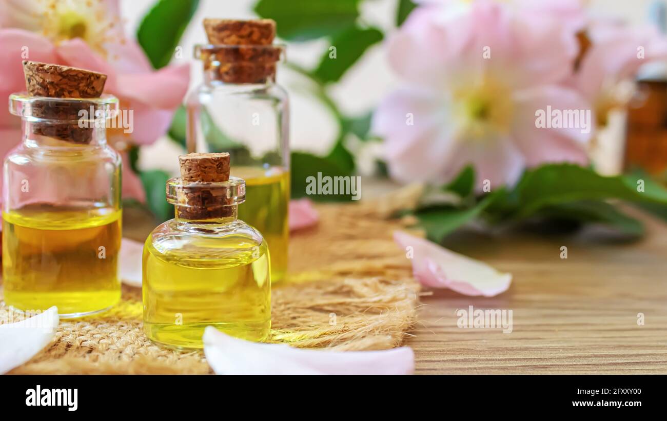 rosehip extract in bottles. Homeopathy. Selective focusnature Stock ...