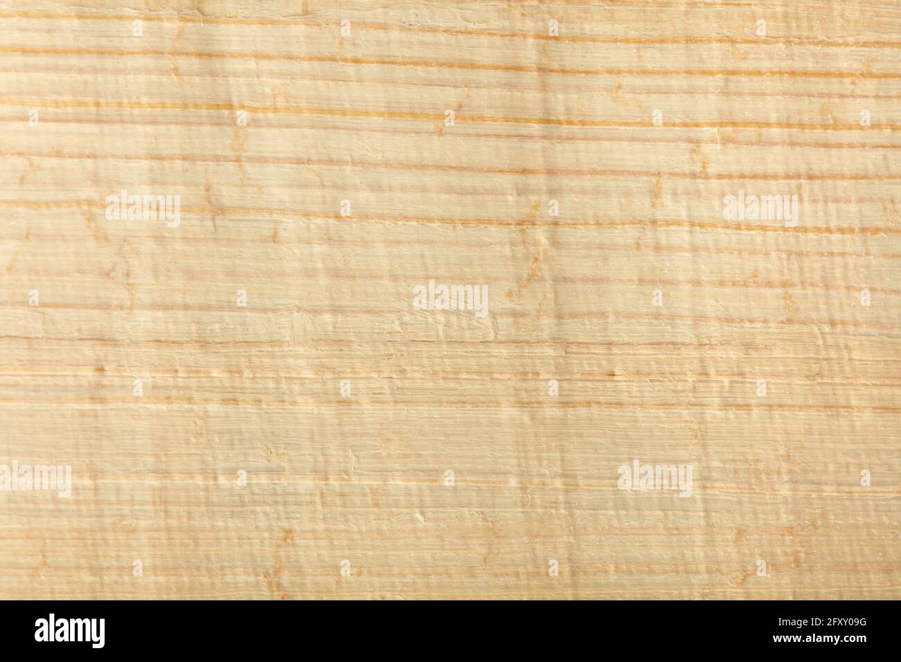 Papyrus paper texture background Stock Photo - Alamy