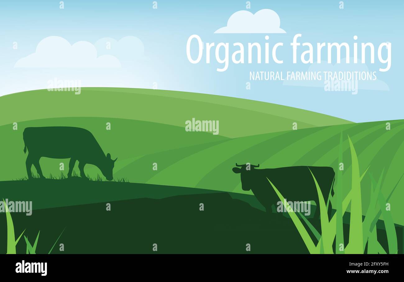 Organic Farming Animals