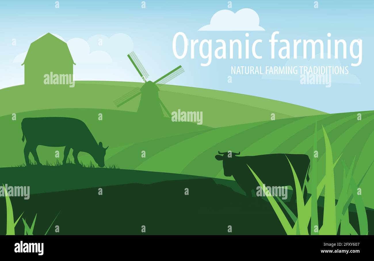 Organic farming. Natural farming traditions. Rural landscape, farm ...