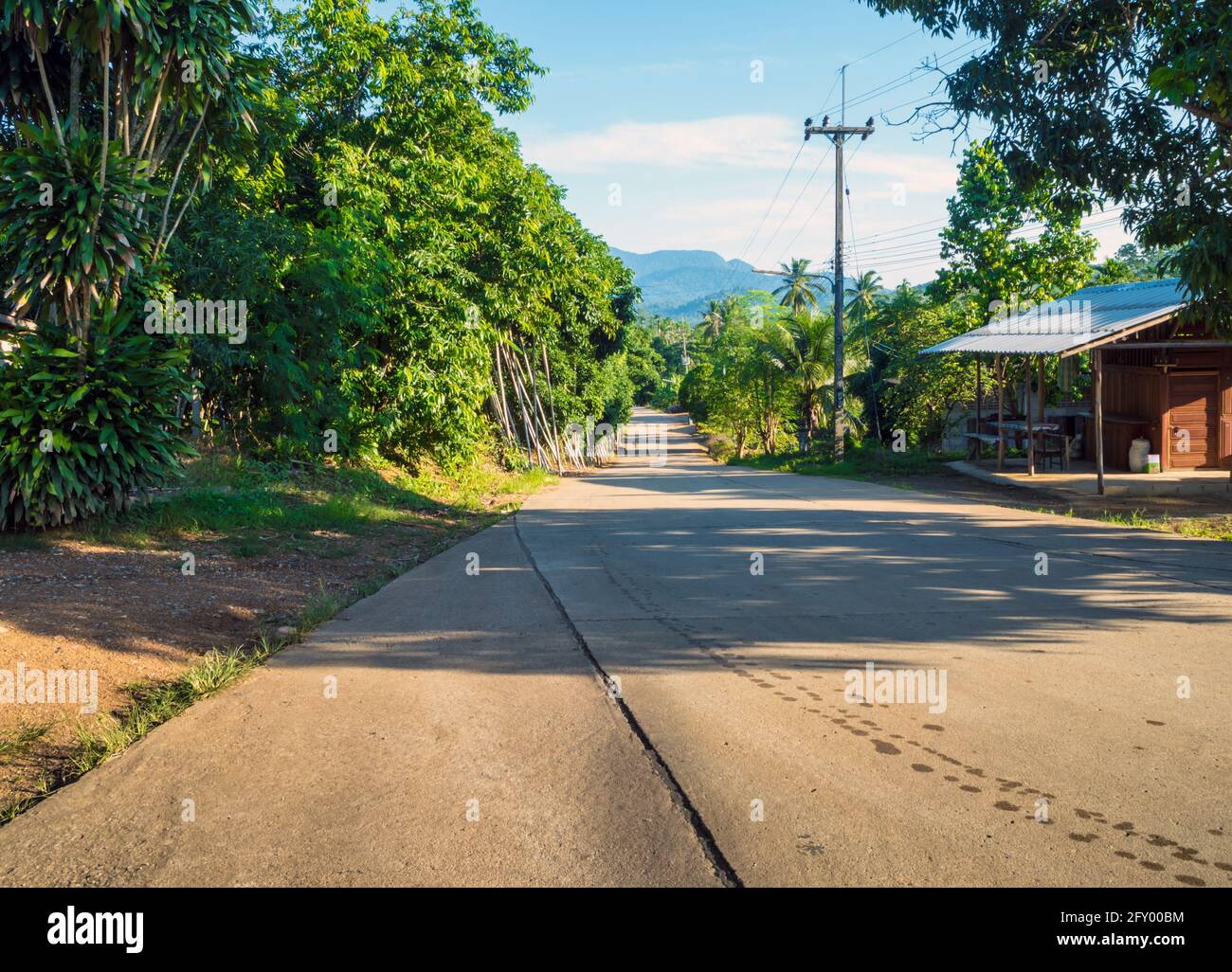 On the small concrete road in the countryside Stock Photo - Alamy