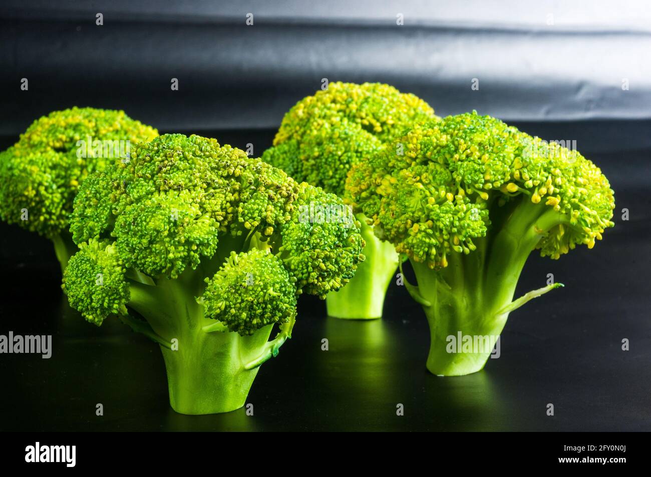 Fantasy mini landscape - trees made with broccoli on a black background ...
