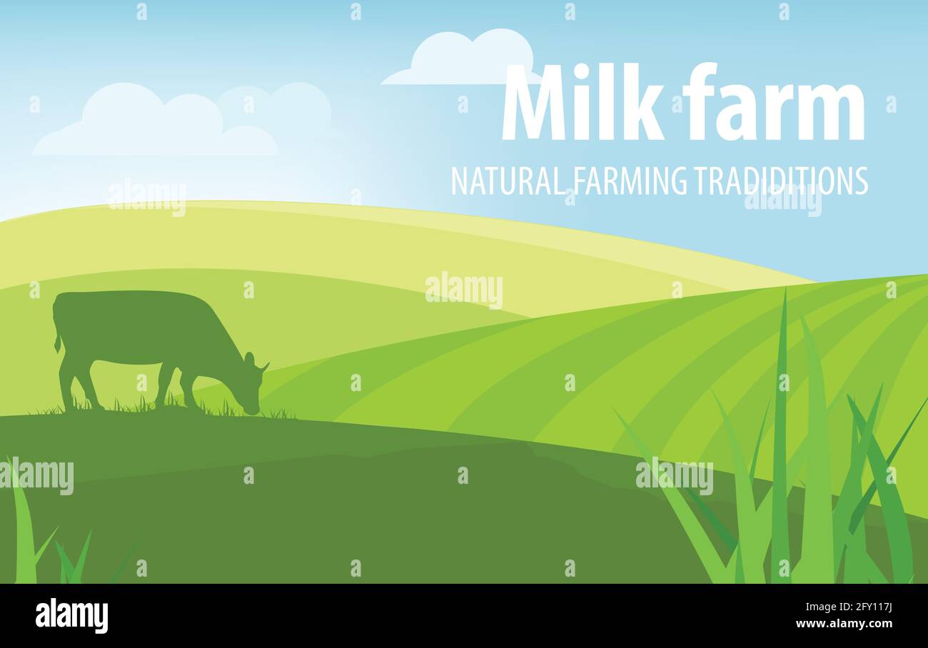Milk farm. Natural farming traditions. Rural landscape, farm animals ...