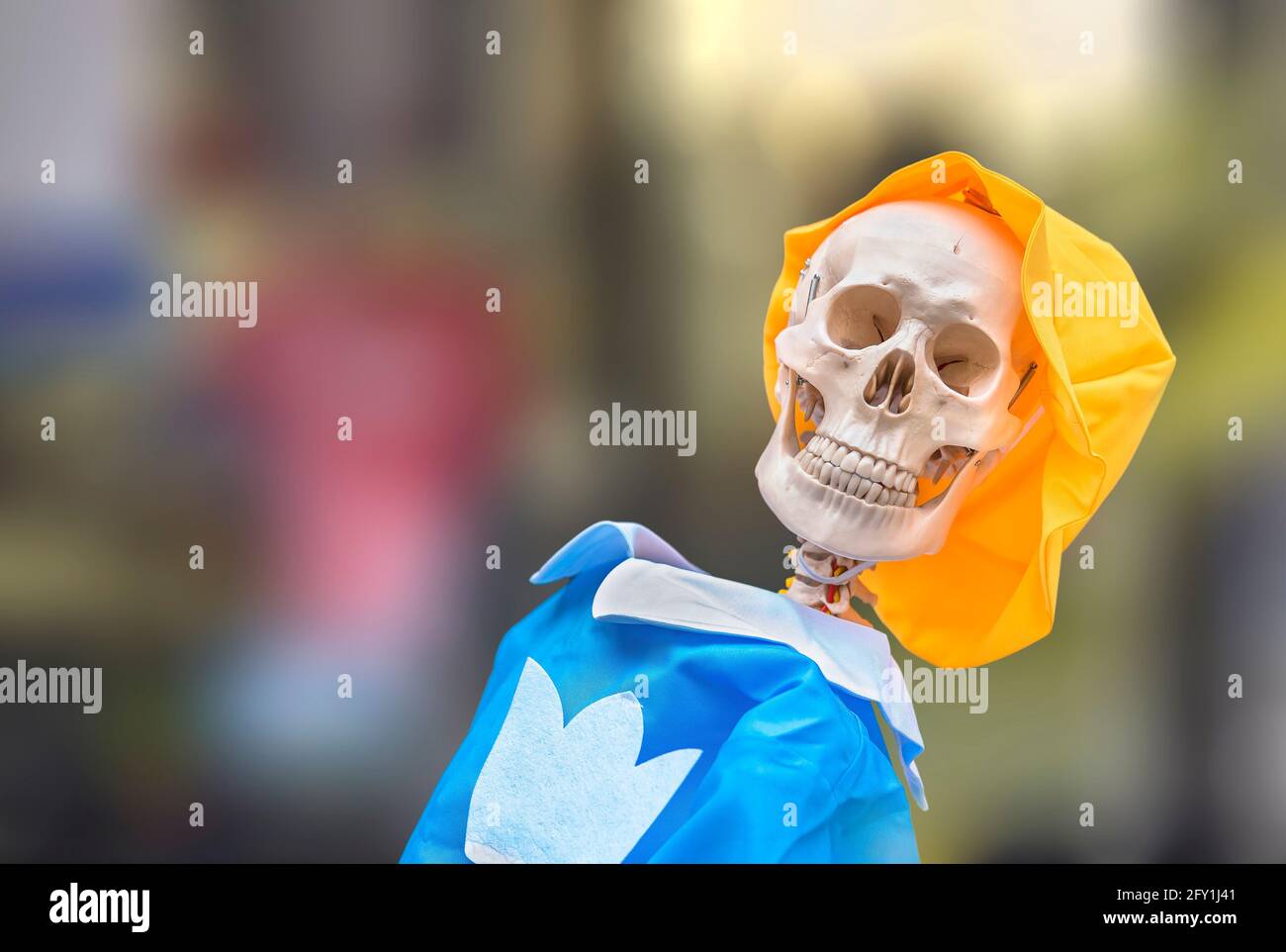 Anatomy teaching hi-res stock photography and images - Alamy