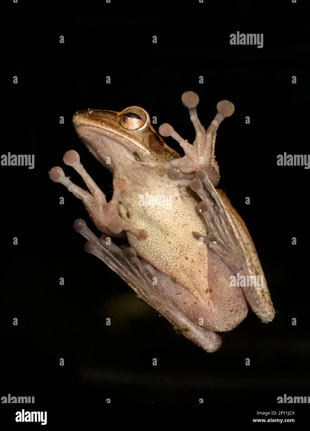 Philippines costa rica hi-res stock photography and images - Alamy